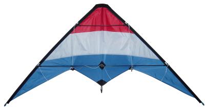 China Stackable colorized fabric Delta stunt kite, adults delta kite for sports for sale