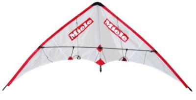 China 100% Nylon Material Promotional Kites , Custom Printed Kites 120*60cm for sale