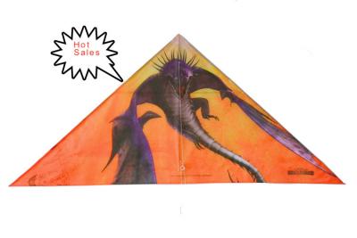 China Dragon parttern Delta wing kite  fiberglass frame with common size for sale