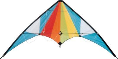 China Spring Dual String Kite , Nylon Or Polyester Beginner Stunt Kites 120*60cm for sale