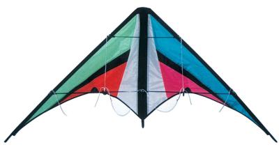 China Autumn Polyester Kite , 120~180cm Wing Span Professional Stunt Kite For Kids Adults for sale