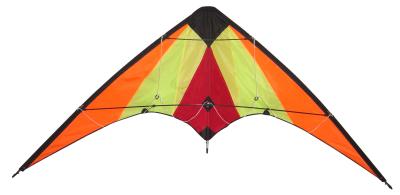 China Dual Line Type Delta Stunt Kite For Spring Season Easy Control Customized Color for sale