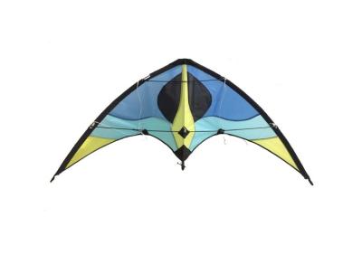 China 160*80cm Dual Line Delta Sport Kite For Autumn Season for sale