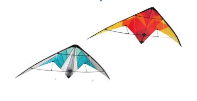 China Oem 170*70cm Dual Line Sports Delta Stunt Kite with Woven Roving Material for sale