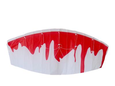 China 160*60cm Parafoil Stunt Kite With 2*50m String Line Oem / Odm Acceptable for sale