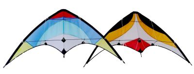 China Dual Line Spring Fiberglass Frame Nylon Delta Shape Kite for sale