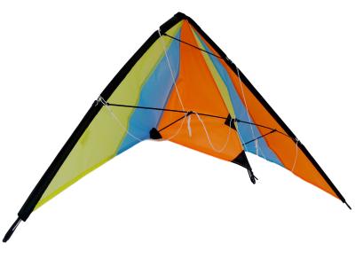 China 120*60cm Polyester Sports Delta Stunt Kite For Spring Season for sale