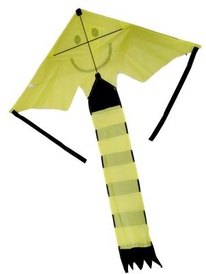 China Children Playing 30m Line Nylon Delta Wing Kite for sale