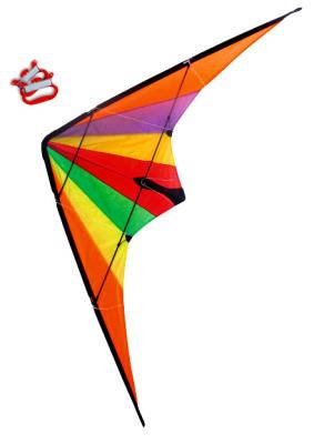 China 160*80cm Polyester Delta Stunt Kite For Spring for sale