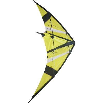 China Display box 160x80cm Polyester EN71 Delta Stunt Kite for sale