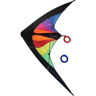 China 160*80cm OEM ODM Delta Sport Kite With Polyester Material for sale