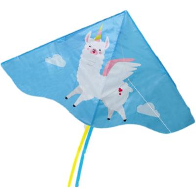 China Single Line Pvc Fabric bag of Delta Wing Kite With  Polyester Material for sale