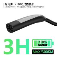 China E-Mingze Factory's High Performance 7KW Tesla Car Charger 32A Portable Adjustable Current Charging Station Single Phase for sale