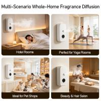 China New Ultrasonic Aroma Essential Oil Air Freshener Spray Electric Aroma Diffuser Silent Scent Diffuser for Hotel Office Home for sale