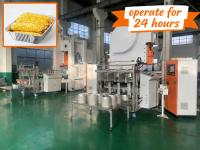 China LK-T63 Fully Automatic High-Efficiency 3-Cavity Aluminum Foil Container Making Machine with Quick Mold Change for sale