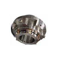 China Heavy Duty Slurry Pump Mechanical Seal SS316 AESSEAL TPDS Cartridge Type Seal for sale