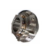 China Heavy Duty Slurry Pump Mechanical Seal SS316 AESSEAL TPDS Cartridge Type Seal for sale