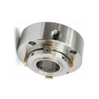 China AESSEAL CAPI-TXS-F Single Cartridge Mechanical Seals For Legacy API 610 pumps for sale