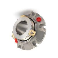 China EPR FFKM Slurry Pump Mechanical Seal  AESSEAL FGDSS Aes Mechanical Seals for sale