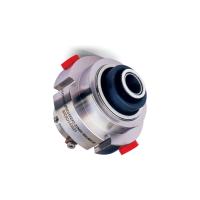 China Double Shaft  Cartridge AESSEAL Mechanical Seal For PCK SCK Richter Process Pumps for sale
