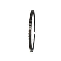 China Cummins Flywheel Ring Gear 3908546 3976903 040271 1815440C1 138 Teeth for sale