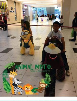 China Hansel family events for rent ride on unicorn on 4 Wheels ride on animal toy  bear for sale