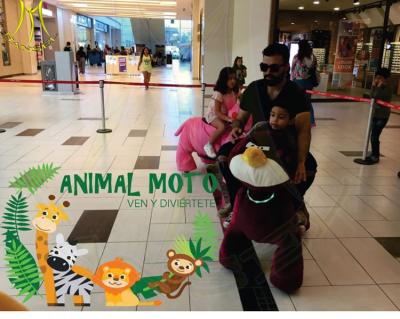 China Hansel high quality for shopping mall electric motor ride on fun bird for shopping mall for sale
