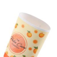 China Squeezable PE Plastic Cosmetic Tubes Hand Foot Cream Body Lotion Tube 20ml for sale