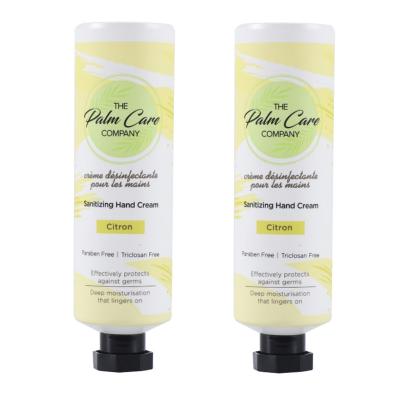 China OEM ODM PE Cosmetic Squeeze Tube 10ml 15ml Matt Surface BB Cream Tube for sale
