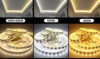 China Warm White Temperature Adjustable LED Strip , Dimmable Smd LED Flexible Strips 2835 for sale