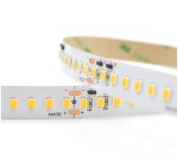 China Smd2835 24v Dc Single Color Led Strip Lightshigh Brightness Light Strip With 240 Beads for sale