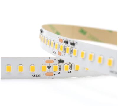 China Smd2835 24v Dc Single Color Led Strip Lightshigh Brightness Light Strip With 240 Beads for sale