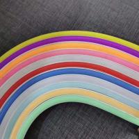 China SMD2835 LED Neon Strip Light Flexible PVC RGB Waterproof With 12V 110V 220V for sale
