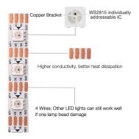 China DC12V WS2815 RGBIC LED Pixel Strip Light Individually Addressable For Residential for sale