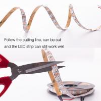 China DC12V WS2815 RGBIC LED Pixel Strip Light Individually Addressable For Residential for sale