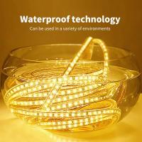 China Ac110v Single Color Led Strip 220v Monochrome Light Strip Highlight Double Row Lamp Beads for sale