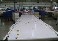 China Customized Stainless Steel Belt Conveyor for Various Materials Conveying for sale