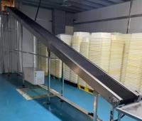 China Adjustable Speed Carbon Steel/Stainless Steel Belt Conveyor for Sale for sale