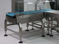 China Adjustable Speed Carbon Steel/Stainless Steel Belt Conveyor for Sale for sale