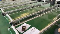 China Zzgenerate Food Grade PVC or PU Belt Conveyor for Pastry Conveying for sale