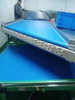 China Zzgenerate Food Grade PVC or PU Belt Conveyor for Pastry Conveying for sale