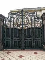 China Custom Wrought Iron Main Gate Security Door Fencing 2 Panel Design for Villa for sale