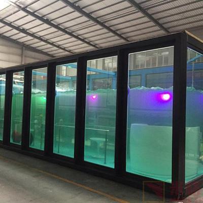 China Customized 20ft 40ft Steel Container Swimming Pool with Wave Water Jet and LED Light for sale