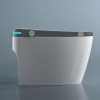 China Tesia One Piece Smart Toilet 670x390x460mm Ceramic Siphon Flushing Floor Mounted Automatic WC for sale