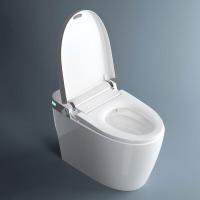 China Tesia One Piece Smart Toilet 670x390x460mm Ceramic Siphon Flushing Floor Mounted Automatic WC for sale