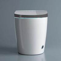 China Tesia One Piece Smart Toilet 670x390x460mm Ceramic Siphon Flushing Floor Mounted Automatic WC for sale