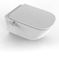 China White Smart Toilet with Remote Control Round Bowl Easy Installation Bidet 110V for sale