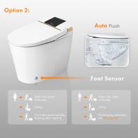 China Luxury Smart Toilet One Piece Ceramic Floor Standing Bidet 690x395x490mm Automatic Flush for sale