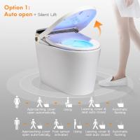 China Luxury Smart Toilet One Piece Ceramic Floor Standing Bidet 690x395x490mm Automatic Flush for sale