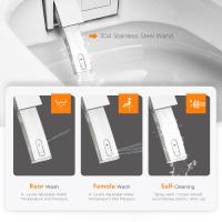 China High-End Automatic Smart Toilet 695x380x445mm Ceramic ABS Siphon Flushing Floor-Mounted for sale